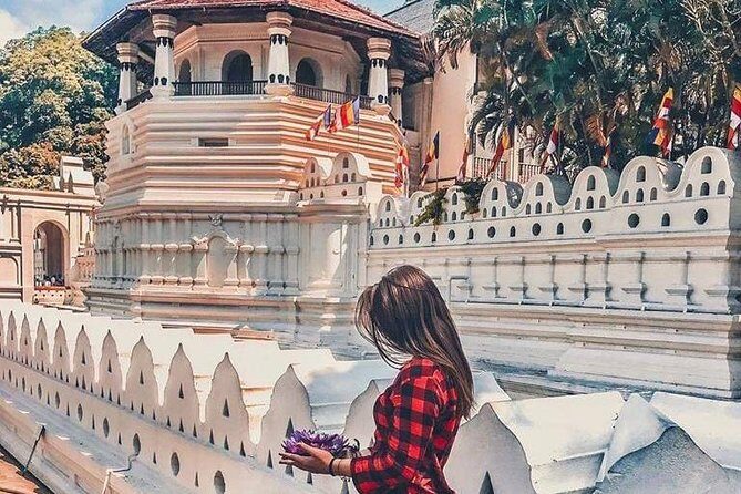 Kandy Day Tour From Colombo with Pinnawala - The Flexible Elements: Lunch & Dinner