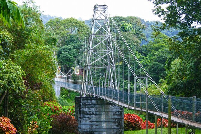 Kandy Day Tour from Galle - An In-Depth Look at the Kandy Day Tour