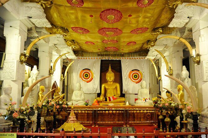 Kandy Day Trip: Colombo, Negombo, Bentota and Kalutara - A Practical Guide to the Kandy Day Trip