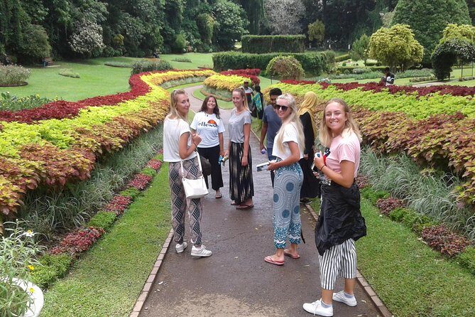 Kandy Day Trip from Colombo: Tea Factory- Peradeniya Botanical Gardens-Kandy - Key Points