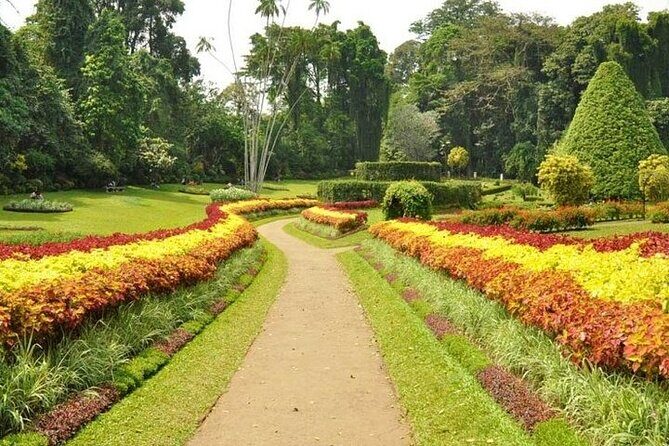 Kandy Day trip from Kalutara Beruwala Bentota Aluthgama Wadduwa - Detailed Breakdown of the Itinerary