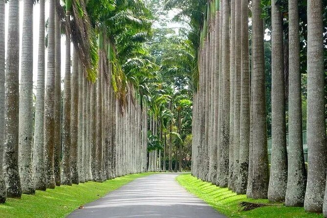 Kandy Day trip from Kalutara Beruwala Bentota Aluthgama Wadduwa - Final Thoughts