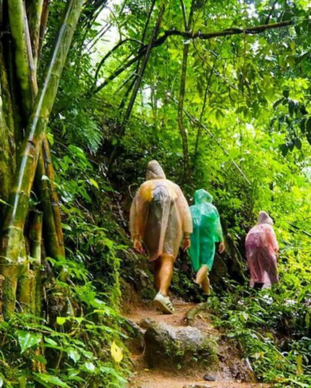 Kandy: Eco Village Tour with Cooking Program - Engaging in Rubber and Pepper Cultivation