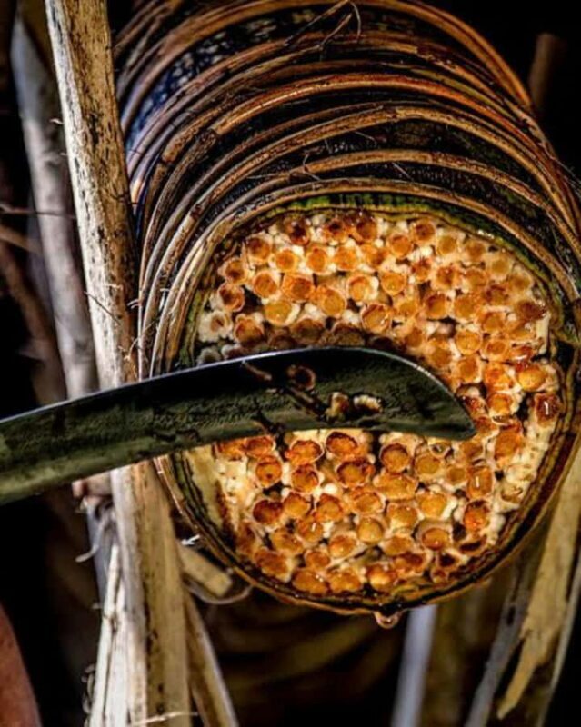 Kandy: Eco Village Tour with Cooking Program - Why This Tour Offers Great Value