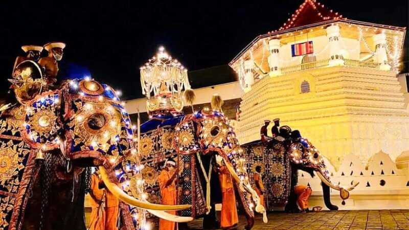 Kandy Esala Perahera (2025 July-30 - 2025 Aug-09) - What Makes This Tour Stand Out?
