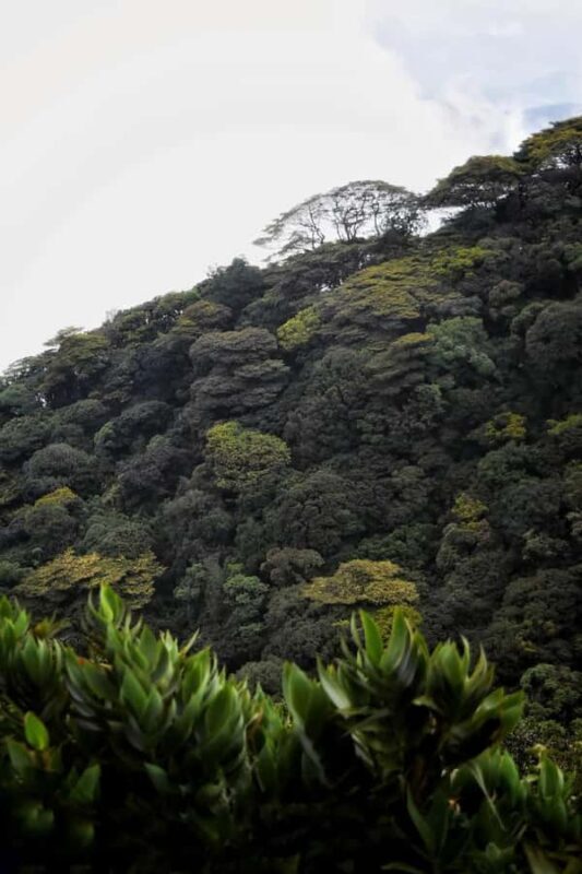 Kandy: Five Peaks Cloud Forest Adventure - Key Points