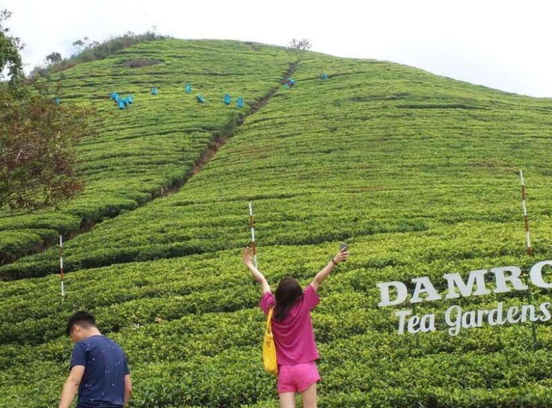 Kandy : From Kandy to Nuwara Eliya Day Tour by Tuk tuk - The Sum Up: A Practical, Authentic Day in Sri Lanka’s Hill Country