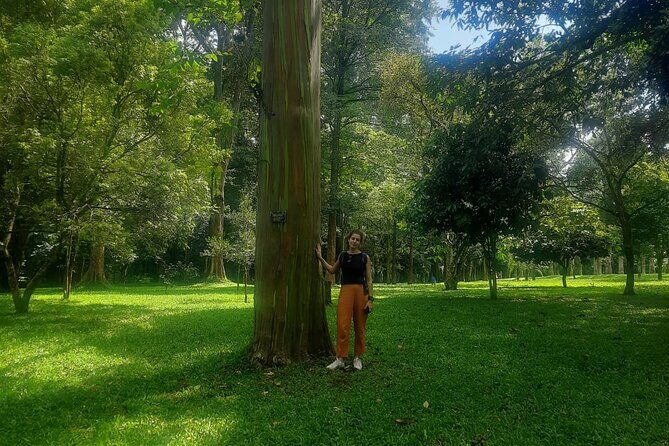 Kandy Full Day Tour from Colombo and Negombo and CMB Airport - Who Will Love This Tour?