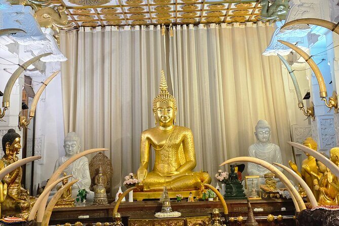 Kandy Full Day Tour Private All Inclusive - Authenticity and Value