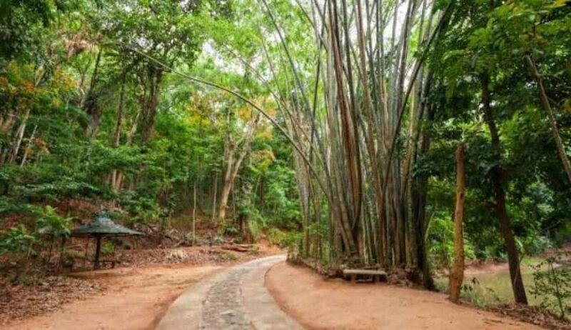 Kandy: Heritage and Architectural by Tuk Tuk - An In-Depth Look at the Kandy Heritage and Architectural Tour