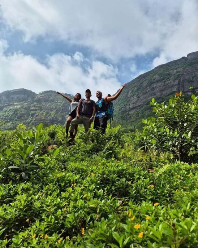 Kandy: Hidden Highlands Nature Walk - Key Points