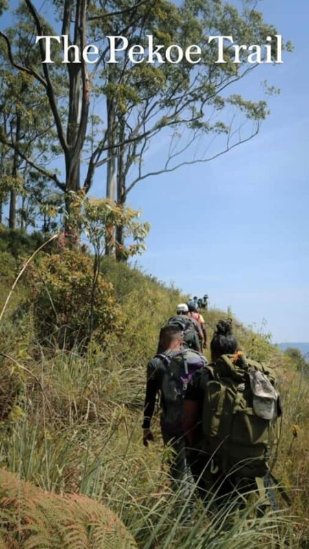 Kandy: Hidden Highlands Nature Walk - Value and Cost Considerations