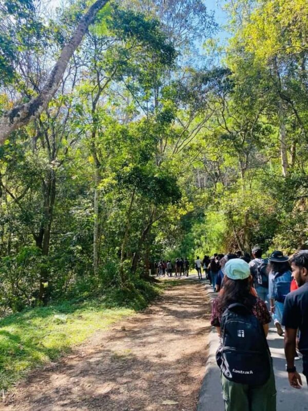 Kandy: Hidden Highlands Nature Walk - Final Thoughts: Who Should Consider This Tour?