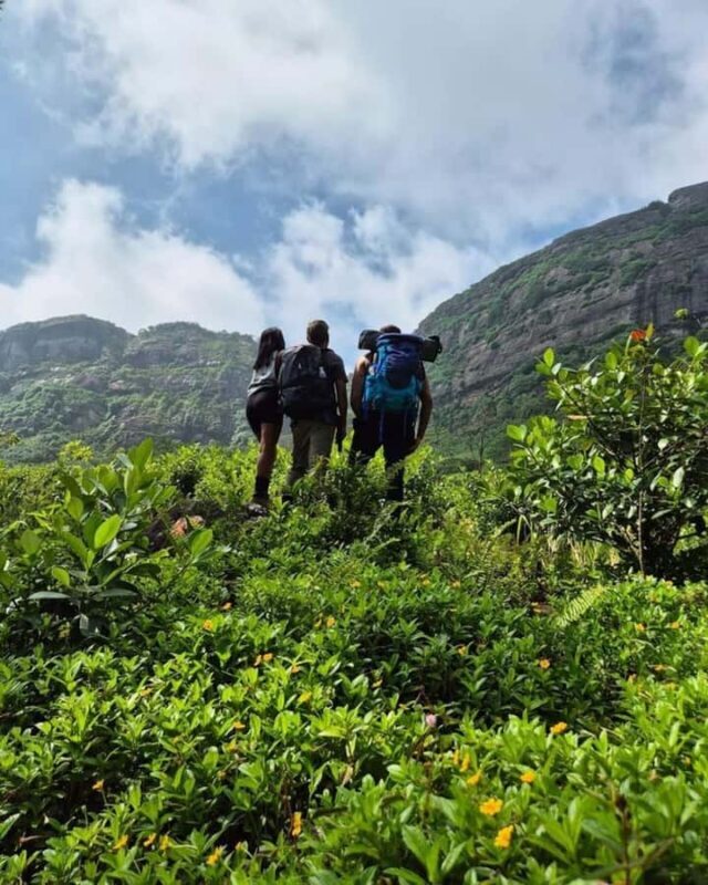 Kandy: Hidden Highlands Nature Walk - FAQ