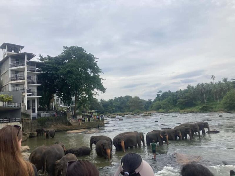 Kandy Highlights & Pinnawala Elephant Experience by Tuk-Tuk - Practical Details and What Travelers Should Know