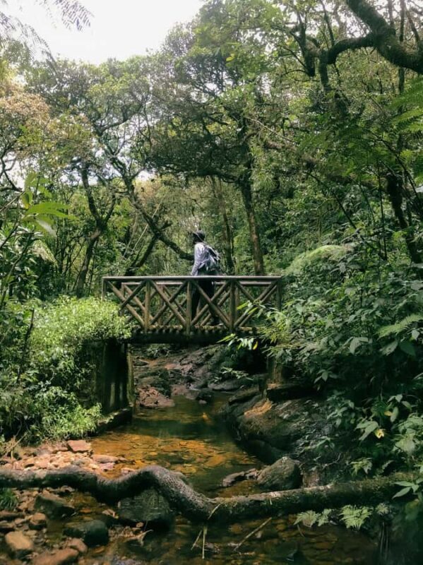 Kandy: Knuckles Mountain 2-Day Hike & Village Tour - Key Points