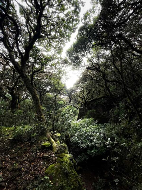 Kandy: Knuckles Mountain 2-Day Hike & Village Tour - Final Thoughts