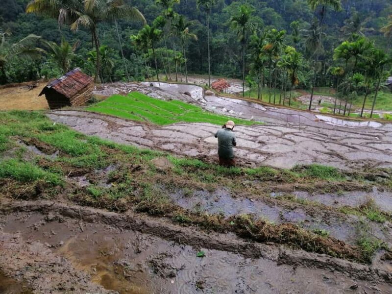 Kandy: Knuckles Mountain Range Full-Day Hike with Lunch - Who Will Enjoy This Tour?
