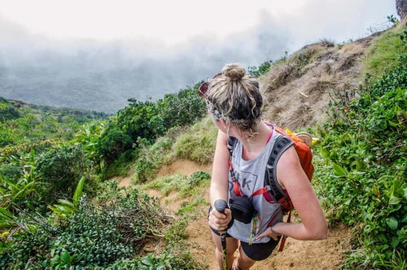 Kandy: Knuckles Mountain Range Hiking Tour with Lunch - Key Points