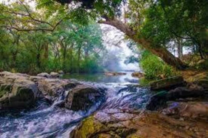 Kandy: Meemure Village Day Trip (Hidden Mountain Village) - Key Points