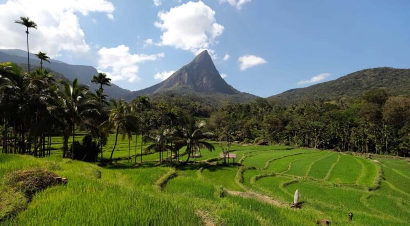 Kandy: Meemure Village Day Trip (Hidden Mountain Village) - FAQ