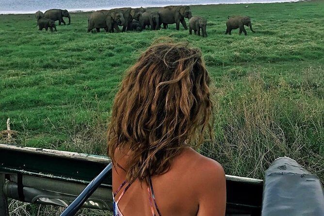 Kandy - Minneriya National park & Sigiriya Rock Fortress (Tours & Entrance fees) - A Closer Look at the Itinerary