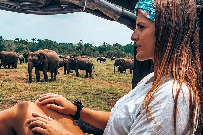 Kandy - Minneriya National park & Sigiriya Rock Fortress (Tours & Entrance fees) - The Practicalities: Transportation and Timing