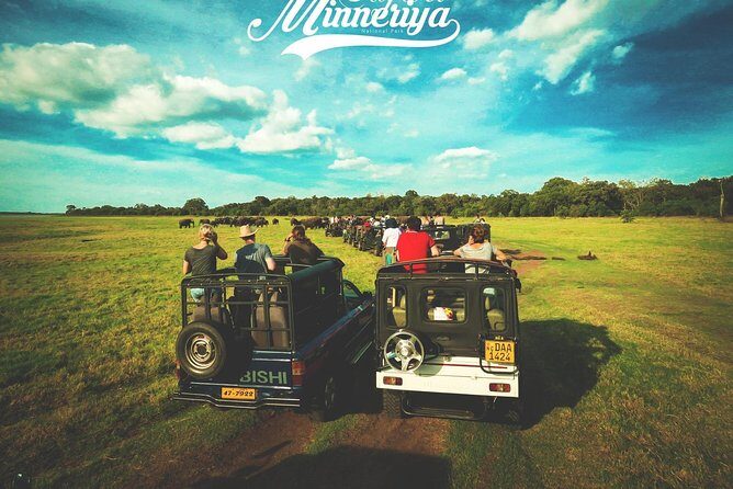 Kandy - Minneriya National park & Sigiriya Rock Fortress (Tours & Entrance fees) - Who Would Enjoy This Tour?