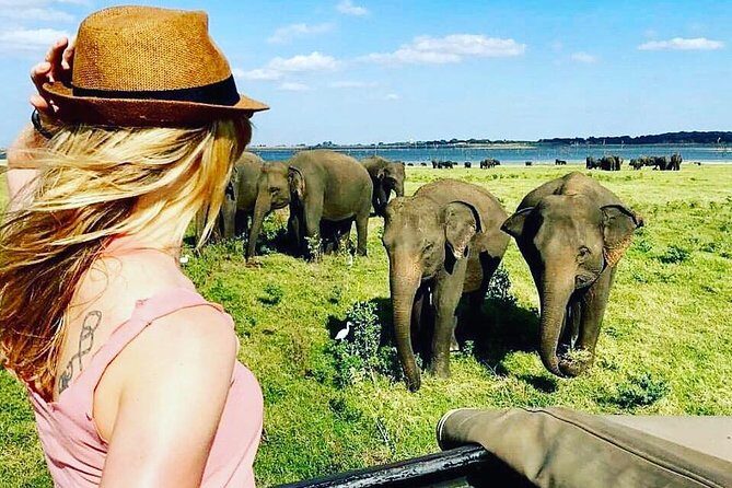 Kandy - Minneriya National park & Sigiriya Rock Fortress (Tours & Entrance fees) - Final Thoughts