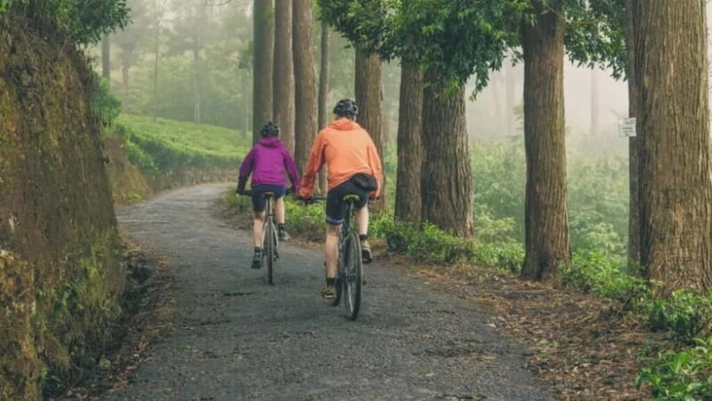 Kandy: Mountain Biking Tour around Knuckles - Key Points