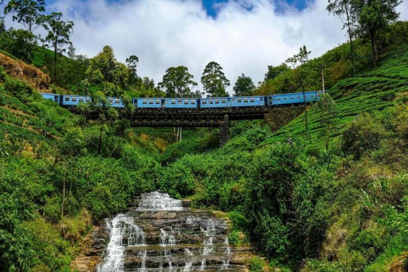 Kandy: Nanu Oya Scenic First Class Railway Experience - The Highlights of the Journey