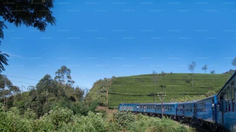 Kandy: Nanu Oya Scenic First Class Railway Experience - Who This Tour Is Best For