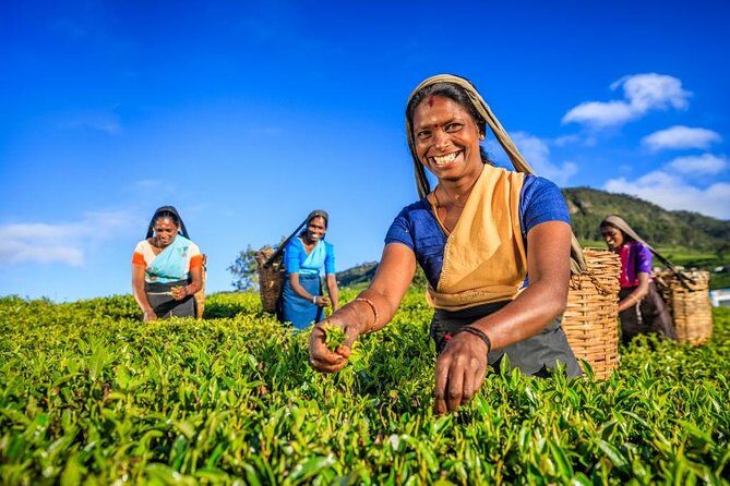 Kandy Nature & Culture Tour - A Practical Guide to the Kandy Nature & Culture Tour