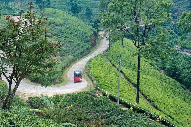 Kandy Nature & Culture Tour - FAQ