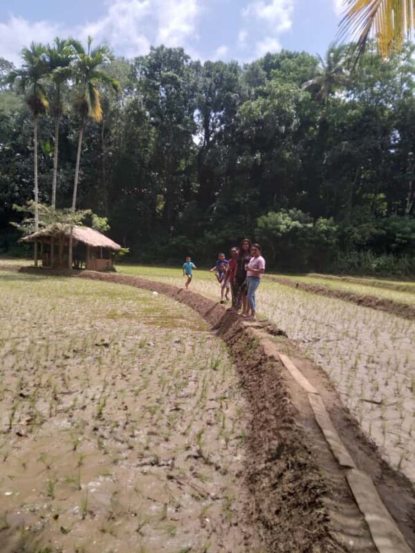 Kandy: Nutmeg Plantation Tour with Kamatha Lunch - An Authentic Taste of Sri Lanka’s Spice Heritage