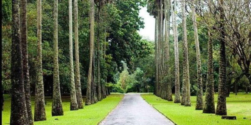 Kandy & Nuwara Eliya: 2-Day Tour! - Who Will Love This Tour?