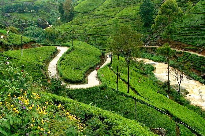Kandy & Nuwara Eliya | 2 Days Tour - The Highlights and Why They Matter