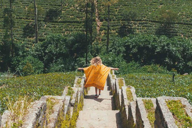 Kandy & Nuwara Eliya | 2 Days Tour - Day 2: From Hill Country to Tea Estates