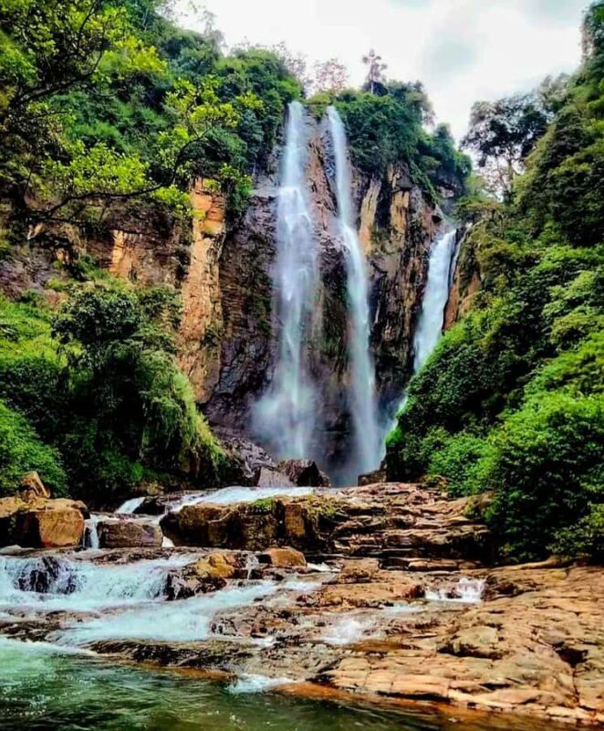 Kandy: Nuwara Eliya and Ambewela Train Station Tour - Kandy: Nuwara Eliya and Ambewela Train Station Tour — An Authentic Highland Experience