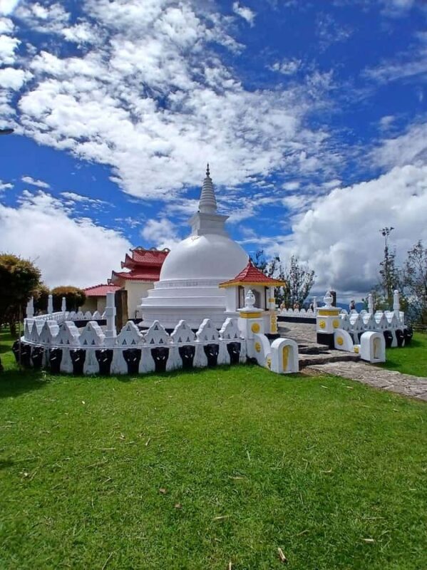 Kandy: Nuwara Eliya and Ambewela Train Station Tour - Key Points