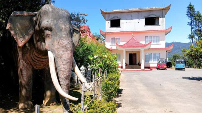 Kandy: Nuwara Eliya and Ambewela Train Station Tour - The Logistics: Timing and Practicalities