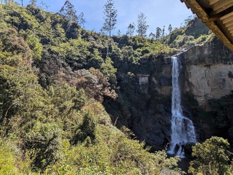 Kandy: Nuwara Eliya and Ambewela Train Station Tour - Final Thoughts