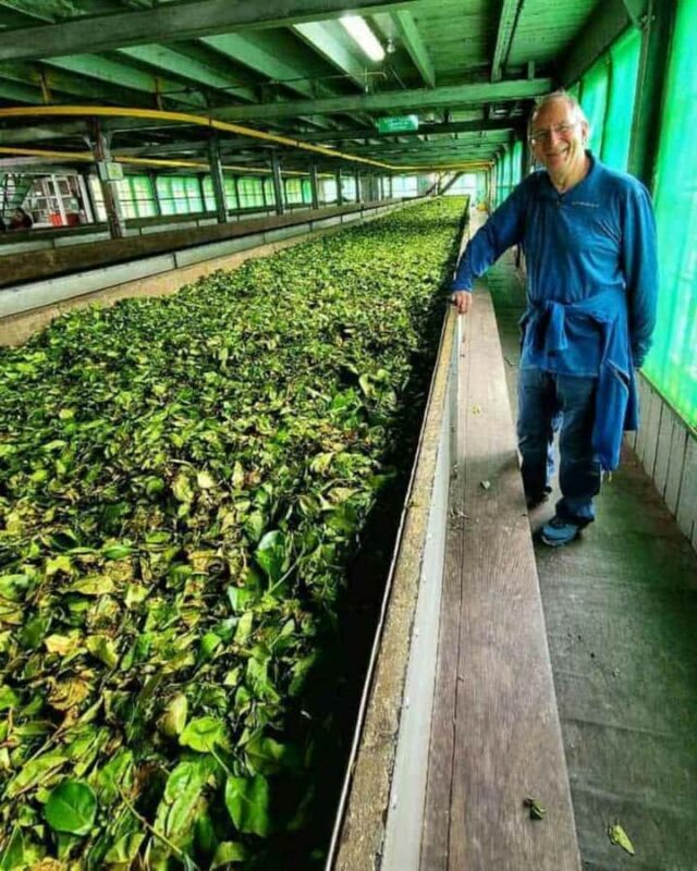 Kandy: Nuwara Eliya and Ambewela Train Station Tour - Ramboda Falls and Scenic Views