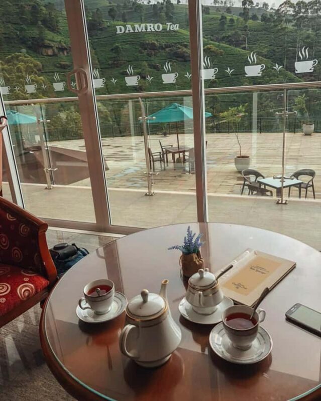 Kandy: Nuwara Eliya and Ambewela Train Station Tour - Tea Factory Experience