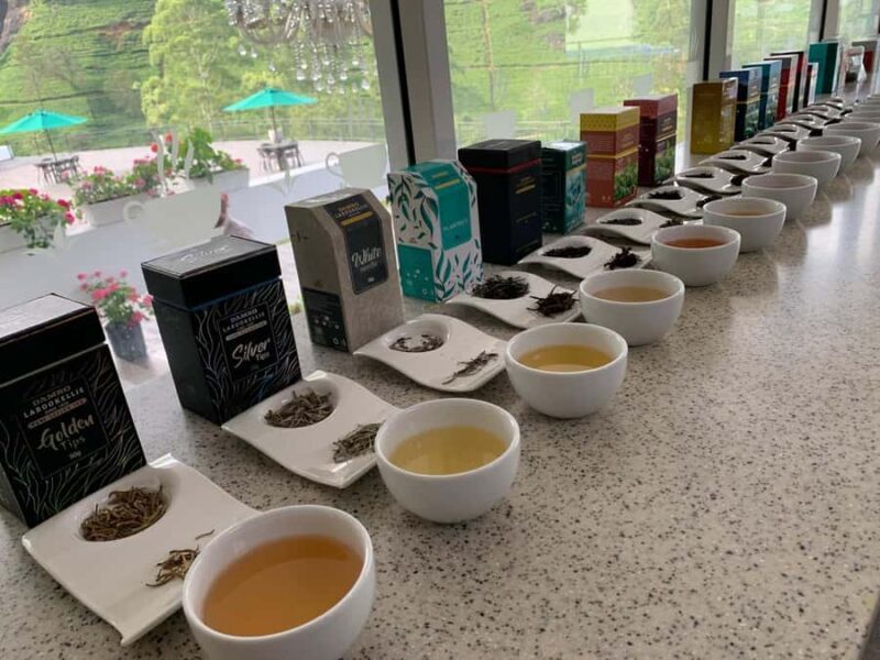 Kandy: Nuwara Eliya Transfer with Tea Factories & Falls - Exploring the Kandy to Nuwara Eliya Transfer with Tea Factories & Falls