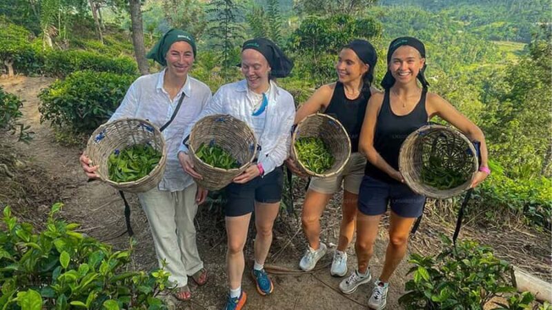 Kandy  Nuwara Eliya Tuk-Tuk (All-Inclusive, Drop-Off) - Who Should Consider This Tour?