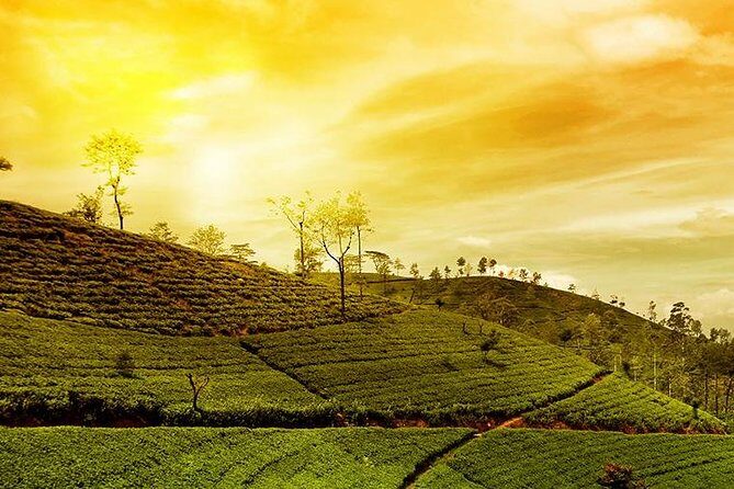 Kandy Nuwaraeliya 02 Days Tour From Colombo or Negombo - Conclusions