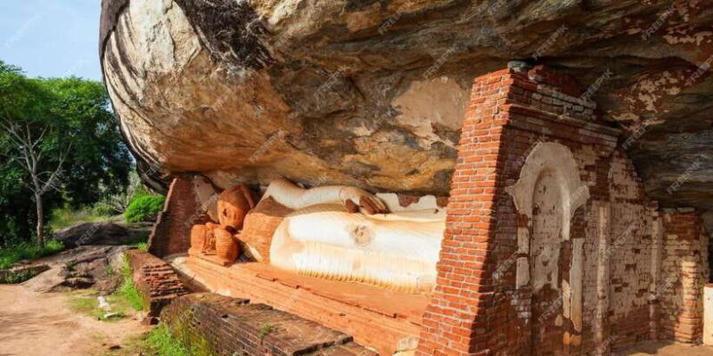 Kandy: Pidurangala Rock Sunrise and Minneriya Safari trip - A detailed look at what makes this tour special