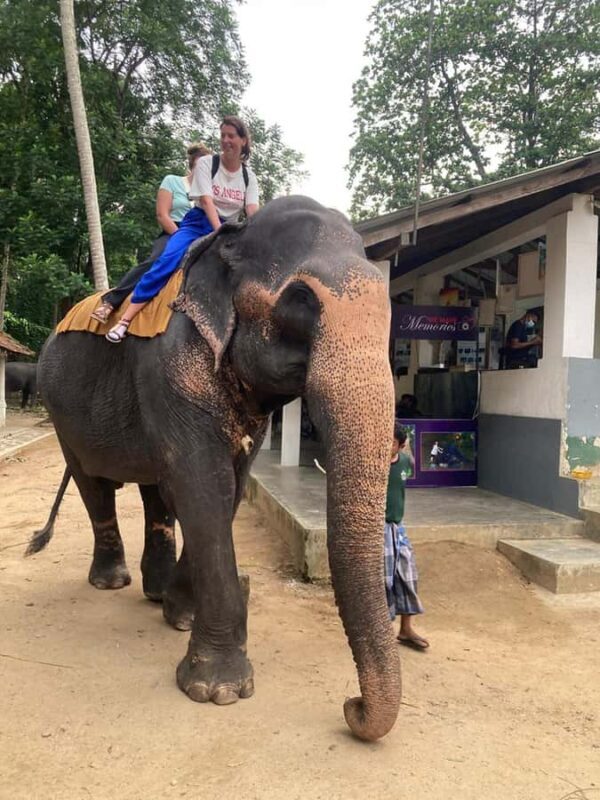 Kandy: Pinnawala & Ambuluwawa Tuk Tuk Adventure - Key Points