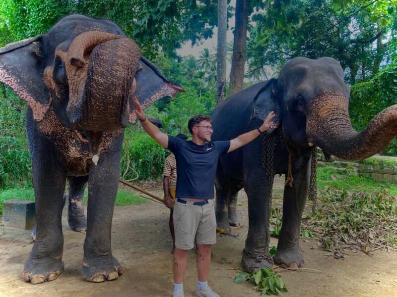 Kandy: Pinnawala & Ambuluwawa Tuk Tuk Adventure - The Journey Begins: What to Expect